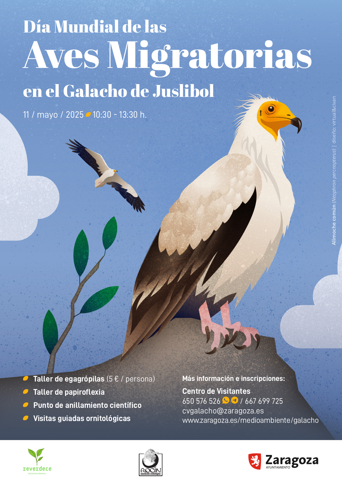 El Galacho de Juslibol celebra este domingo el Día mundial de las aves ...